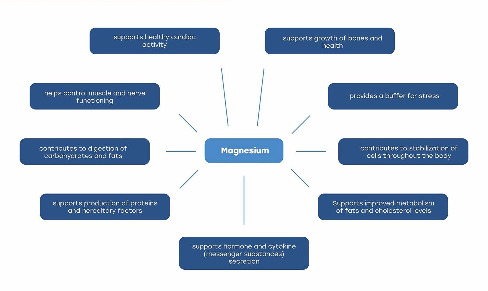 Magnesium Benefits - Zechstein Minerals